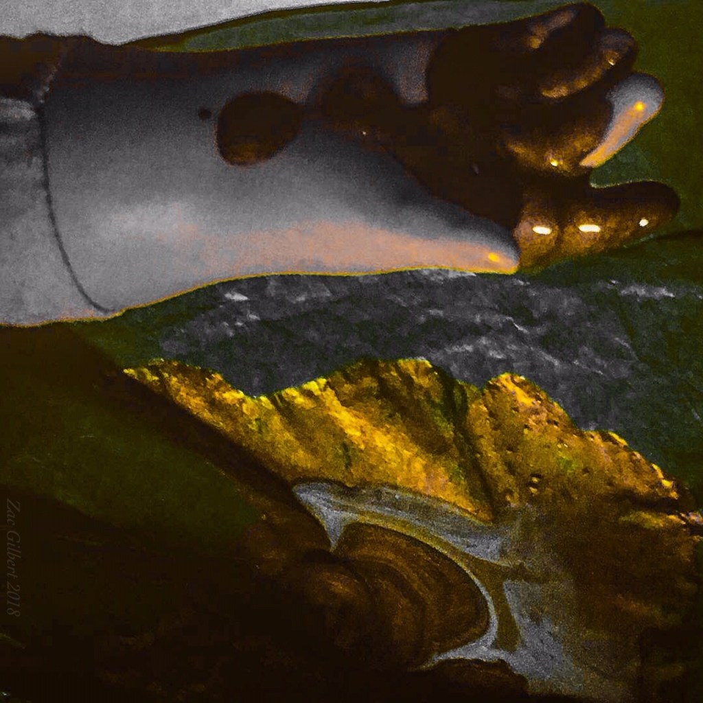 Puddle of Gold – ZACDAQ